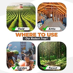 Squirrel Trap (2 Pack) - Consistent & Humane Kill Every Time with no Failures - Powerful Spring - 5" Large Opening - 96% Instant Kill - for Attic, Garden, Forest & More - Reusable - Easy Setup
