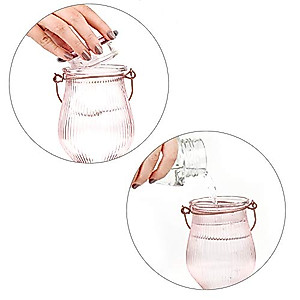 Perky-Pet 9104-2 Rose Gold Top-Fill Glass Hummingbird Feeder Rose Gold 24 oz Capacity