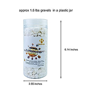 ROOFOO Polished Stones River Pebbles Vase Fillers White Rocks Garden Gravel 1.6LB for Aquarium,Fish Tank,Terrarium, Fairy Gardening,Top Dressing,Bonsai,Zen Garden,Air Plants Succulent,Soil Cover
