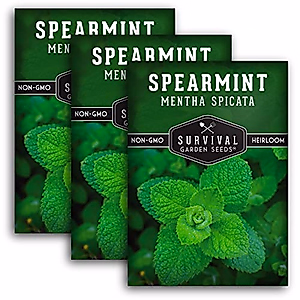 Survival Garden Seeds - 3 Packs Spearmint Seed for Planting - Mentha Spicata with Instructions to Plant Delicious Herbs and Grow Your Home Herb Garden - Non-GMO Heirloom Variety