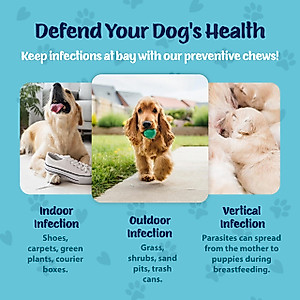 Texas Pet Company Natural Flea and Tick Prevention for Dogs Pills - Dog Flea and Tick Treatment Chewable Supplement - Oral Flea Treatment for Dogs Flea Pills Defense - All Breeds & Ages - Made in USA