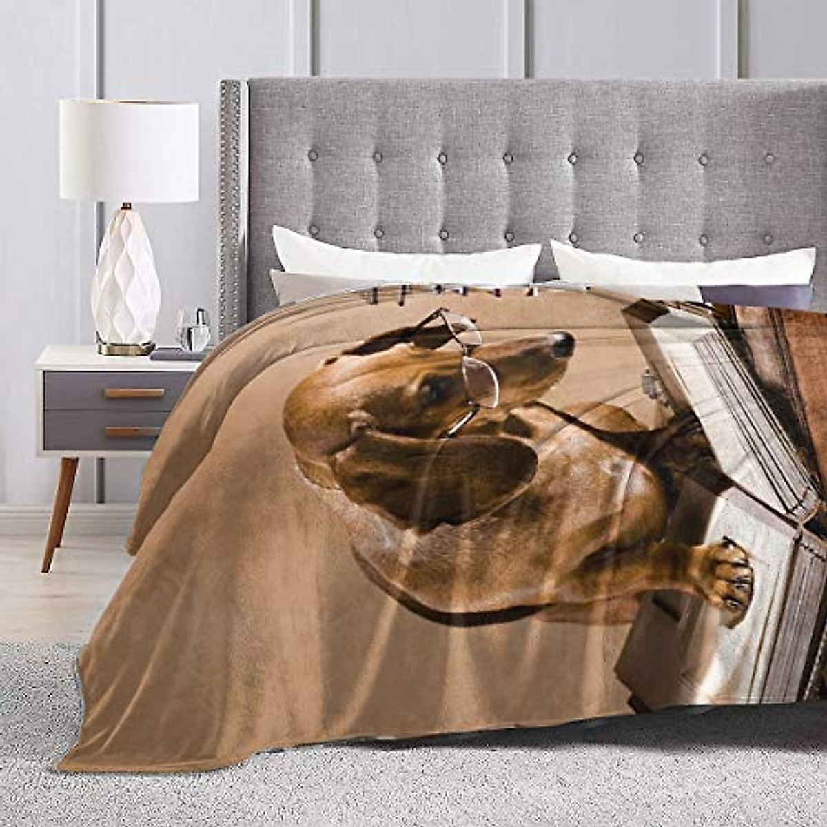 YCKNJYSG Dachshund Professor Fleece Throw Blanket Cozy Couch Bed Sofa Blanket, 60'' X 80''