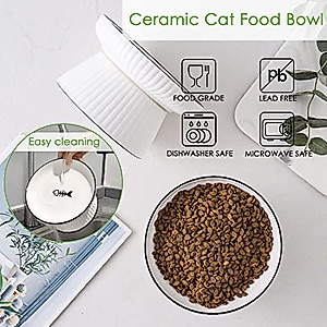 Large Ceramic Elevated Cat Food Bowl,Whisker Friendly Raised Cat Water Bowl,Stress Free Food Feeding Dish,Anti Whisker Fatigue Bowl with Anti-Slip Strip for Cats & Small Dogs,Non Tipping