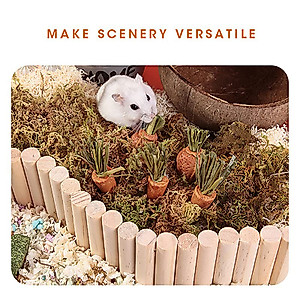 Eyomii Small Pet Molar Supplies Hamster Treats Rabbit Chew Toys Small Animal Chew Carrots All Natural Nutritious Molar Toys for Rabbit/Hamster/Guinea Pigs