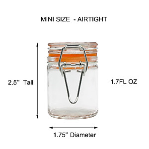 Homelike Style 1.7 oz Mini Glass Spice Jars with Labels, Small Stash Jars with Airtight Hinged Lid, 12 Pack Empty Spice Bottles with Rubber Gasket for Herb Tea Seasoning Storage