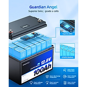 ShockFlo 12v 100Ah LiFePO4 Lithium Battery, Deep Cycle Lithium Iron Phosphate Battery, Built-in Superior BMS Protection, 15000+ Cycles Rechargeable Battery, APP Power Monitoring Perfect for RV, LB04