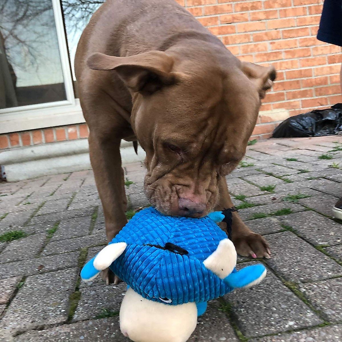 SmartPetLove Snuggle Puppy Tender-Tuffs Round Plush Dog Toys Bundle - Cow, Pig, and Elephant - Large Tough Animal Squeaky Ball Toys