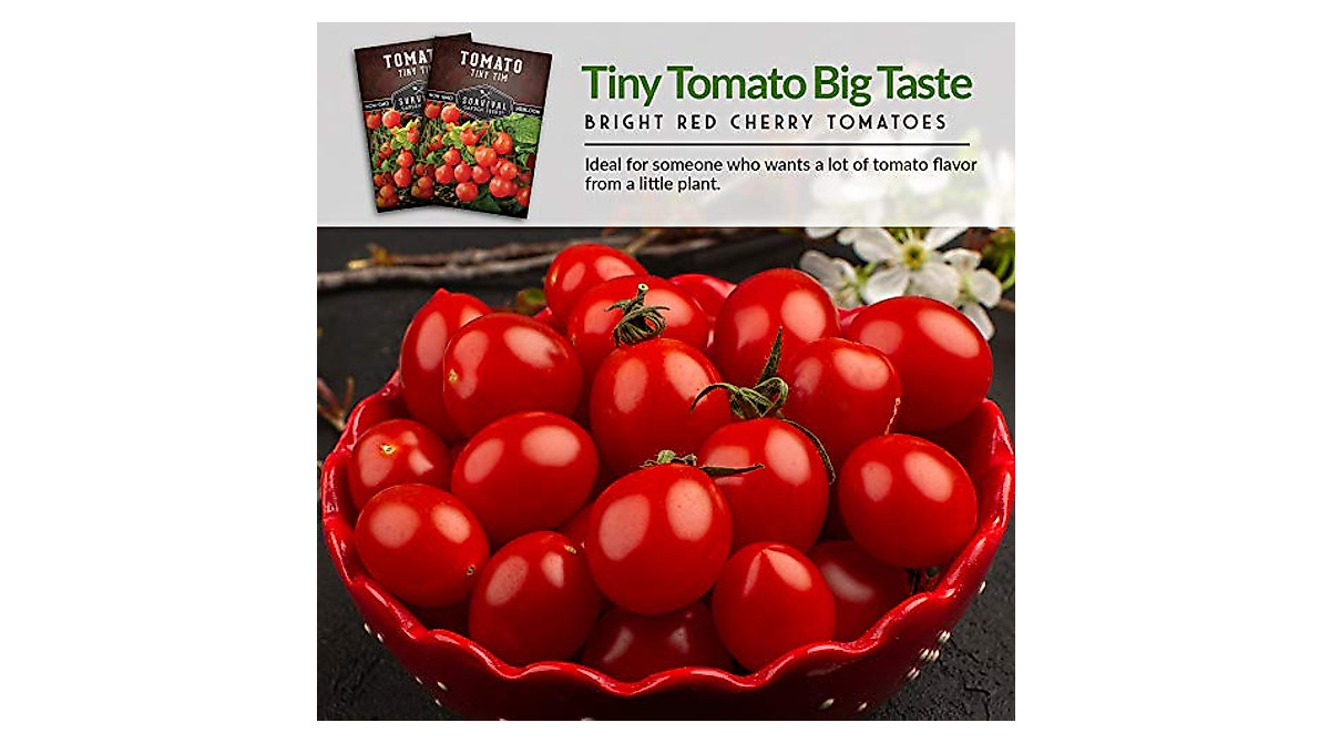 Grow Tiny Tim Tomatoes: Compact Non-GMO Seeds for Home Gardens