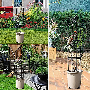 Anothera 6ft Rustproof Metal Pipe with Heavy Duty Plastic Coated, Garden Outdoor Indoor Potted Plant Support, Round Obelisk Trellis for Climbing Vine（Black）