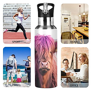 xigua Highland Cow Colorful Dyed Hair Sports Water Bottle with Straw Lid 22 oz, Leak Proof, Vacuum Insulated Stainless Steel, Double Walled, Thermo Mug, Metal Canteen