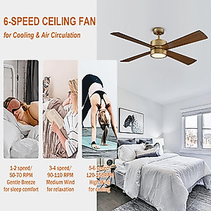 Ceiling Fans with Lights and Remote, 52 Inch Gold Ceiling Fan for Bedroom Living Room, Farmhouse Chandelier Outdoor Ceiling Fan with Light, Reversible 4 Blades, Ventilador de Techo con Luz