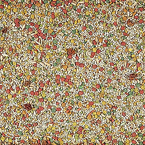 Vitakraft Vita Smart Gourmet Parakeet Food - Vitamin-Fortified - Daily Pet Bird Food 2 Pound (Pack of 1)