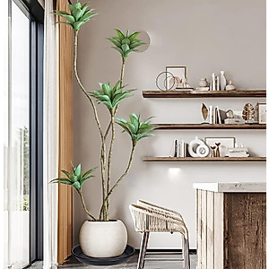 5 Packs Plant Saucer Pot Tray 6 8 10 12 14 16 19 20 Inch Plastic Flower Planter Saucers and Drip Trays for Indoors Outdoors, Thick Heavy Sturdy Durable Plant Plate Water Catcher (14 Inch Black)