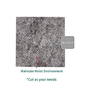 Dimora Ag Silver Calcium Alginate Wound Dressing Pads, 4'' x 4'' Patches, 5 Individual Pack, Highly Absorbent Dressing, Non-Stick Sterile Gauze