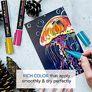 CHALKY CROWN Acrylic Paint Markers - Acrylic Paint Pens for Rock Painting, Stone, Ceramic, Glass, Wood, Canvas - Reversible Tip Paint Pens- 6mm (12 Pack)