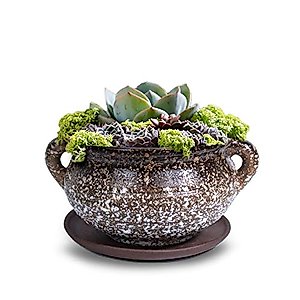 Dahlia Vintage Speckle Ceramic Succulent Planter/Plant Pot/Flower Pot/Bonsai Pot, C