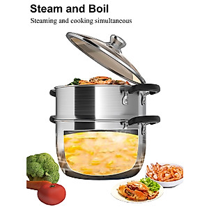 VENTION Small Vegetable Steamer 10.2 Inch, 5-Ply Thick Stainless Steel Steamer for Cooking, 5.8 QT Stove Top Steamer Pot, Steam Pot