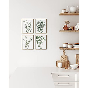 HAUS AND HUES Botanical Plant Wall Art Prints - Set of 4 Plant Decor Prints, Floral Kitchen Pictures, Flower Leaves Wall Art, Boho Leaf Eucalyptus Wall Décor (8x10, UNFRAMED)