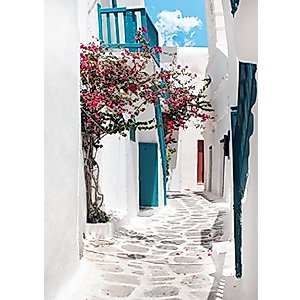 CORFOTO 6.5x10ft Greece Street Backdrop Narrow Street Background Mia Birthday Party Decorations Mia Themed Backdrop Greece Themed Party Decorations Greek Party Supplies Stone Path Wedding Banner Decor