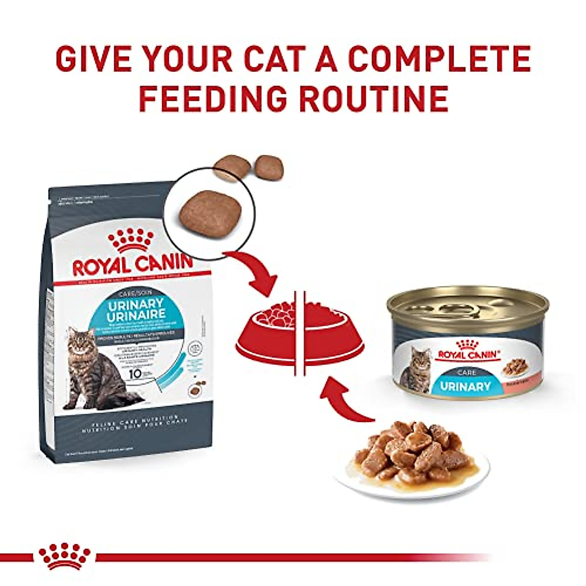 Royal Canin Feline Care Nutrition Urinary Care Adult Dry Cat Food, 6 lb Bag