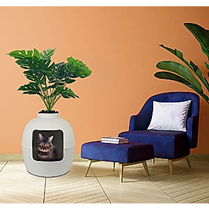 keygarzone Plant Litter Box with Lid, Hidden Cat Litter Furniture with Rattan Pattern for Large Cat, PP Material Waterproof, Easy Assemble & Clean