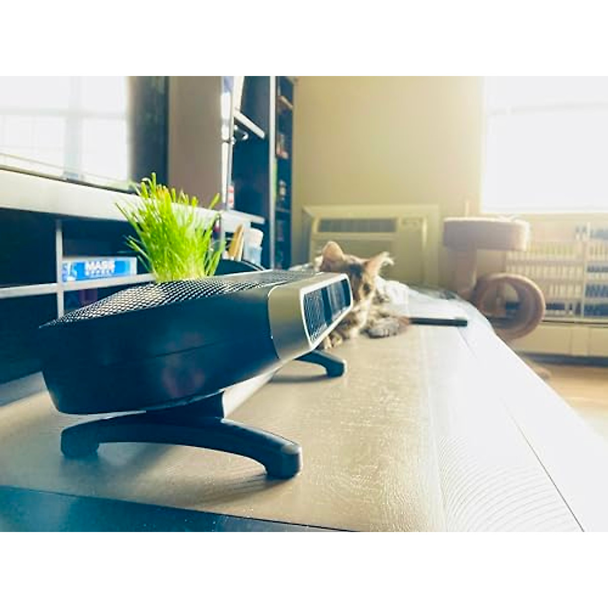 Vornado AXL Low-Profile Oscillating Fan with Remote, Adjustable Tilt, Modern Energy Efficient Vertical Fan, 5 Quiet Speeds, Touch Controls