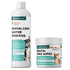 Wellnergy Pets Dental Care Combo for Dogs & Cats - Dental Water Additive 16 fl oz & Dental Wipes 100 Pads - Improves Oral Hygiene, No Brush Formula