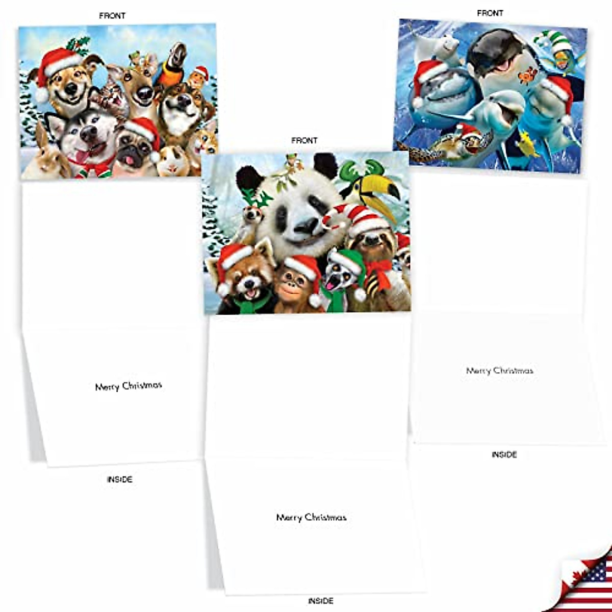 The Best Card Company - Variety Pack of 20 Christmas Greeting Cards with Envelopes, Humor Holiday Assortment for Men and Women (10 Designs, 2 Each) Merry Christmas to Zoo AM6652XSG-B2x10