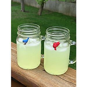 Simply Charmed Bird Wine Glass Charms - Magnetic Drink Markers to Identify All Your Glassware - Set of 6 Cocktail Charms