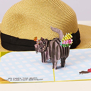 Dirty Pop Cards - Purr-fect Pop Up Birthday Card, 3D Cat Farting Confetti Funny Birthday Card, Cat Mom or Dad Bday Popup Cards for Husband, Wife, Friend, and Every Cat Lover - 1 Card 5 x 7 inch, 1 Notepaper, 1 Envelope