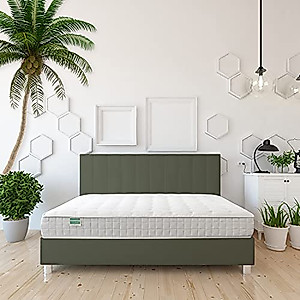 NATURAL LIFE PALMPRING Kochi Queen Mattress - Organic Latex Coconut Coir 6” Medium Firm 2 Layer Comfortable Sleep Bed Dust Free