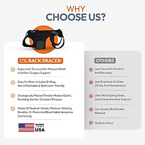 Dog Back Brace for IVDD - Orthopedic Support Back Brace for Dogs - Herniated & Slipped Disc, Pre & Post-Surgical Spinal Support - Made in USA