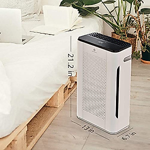 Airthereal Bundle | APH260 Air Purifier and 1-pack Spare Replacement Filter, Pure Morning