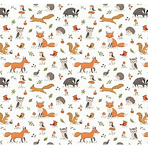 Stesha Party Forest Woodland Animal Wrapping Paper - Folded Flat 30 x 20 Inch (3 Sheets)