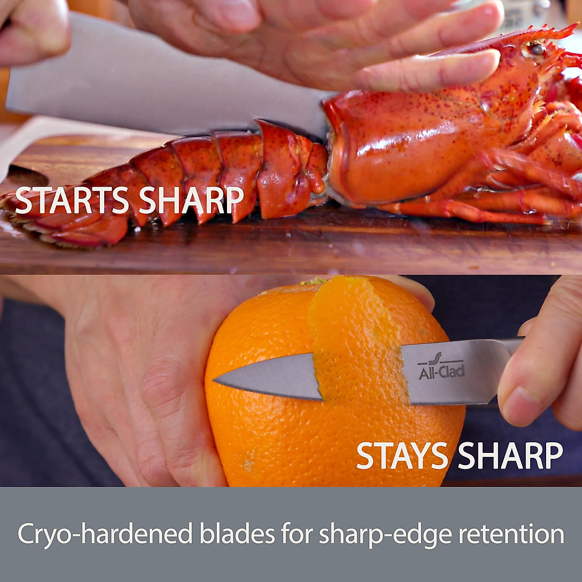 All-Clad Forged German Stainless Steel Steak Knife Set 4 Piece, Fully Forged, Expert Precision, Home Kitchen Knife Set, Knife Block Set, Kitchen Knives, Cookware Utensil, Cook Tool, Ultra Sharp