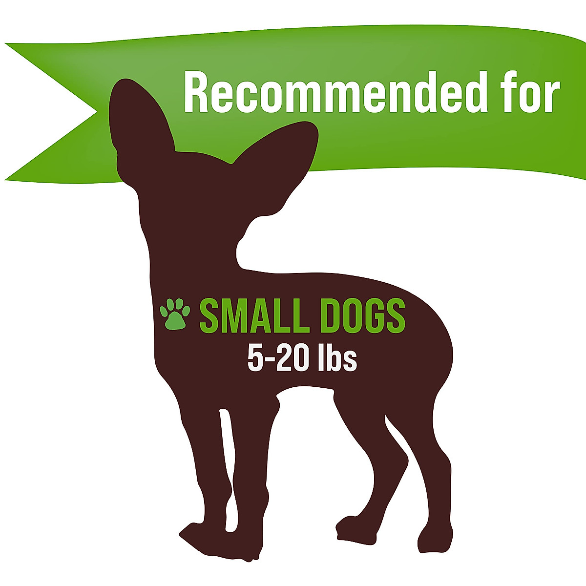 Buck Bone Organics Dog Chews, Elk Antlers for Dogs, Long Lasting Dog Bones for Aggressive Chewers, All Natural, No Preservatives, Wild Shed in The USA (Small 3 Pack)