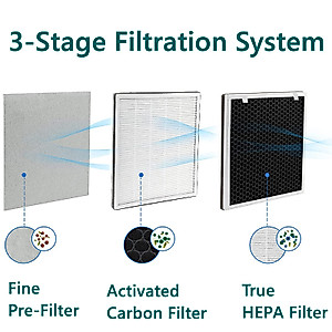 getalong 2 Pack Vital 100 True HEPA Replacement Filters Compatible for LEVOIT Vital 100,Vital 100-RF, Activated Carbon Filter