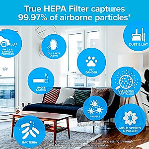 Filtrete Air Purifier, Large Room with True HEPA Filter, Captures 99.97% of Airborne particles such as Smoke, Pollen, Bacteria, Virus for 250 Sq. Ft. Office, Bedroom, Kitchen, FAP-C03BA-G2, Black