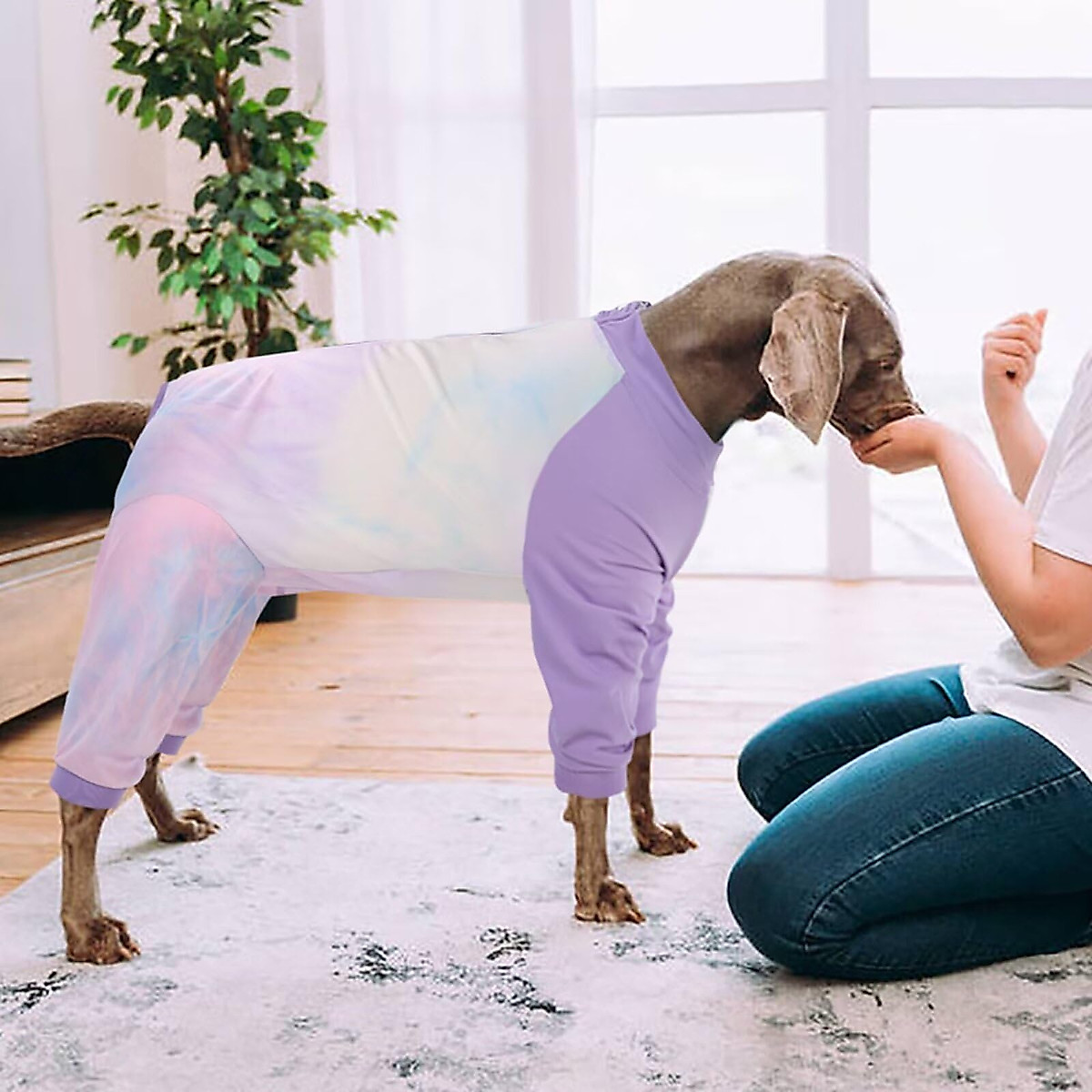 MIGOHI Full Body Dog Recovery Suit,Breathable Recovery Suit for Female Male,Dog Onesie,Anti-Licking Dog Pajamas Suit,Dog Surgery Suit Female Spay,Surgical Recovery Suit for Medium Dogs,M,Purple