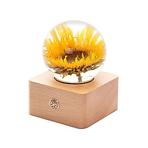 MISS LI GARDEN Forever Teddy Sunflower Crystal Ball with LED Lights,Best Gifts for Her Wife Girlfriend Women, Anniversary, Mothers Day, Birthday, Valentine's Day Home Décor