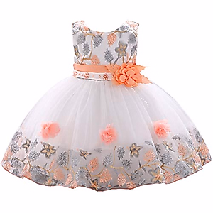 12 18 24 Months Formal Pageant Princess Easter Dresses for Girls Embroidery Sleeveless 2T Little Girl Elegant Spring Prom Lace Dresses 24M Orange
