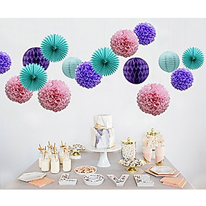Teal Lavender Purple Pink Party Decorations 16pcs Paper Pom Poms Honeycomb Balls Blue Lanterns Tissue Fans for Wedding Birthday Baby Shower Frozen Party Supplies