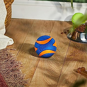 Chuckit! Ultra Squeaker Ball Dog Toy, Medium (2.5 Inch) 2 Pack, for Large Breeds, Blue, Orange