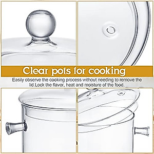 2 Pcs Glass Pot with Cover Glass Saucepan Stovetop Cooking Pot with Lid and Handle Simmer Pot and Pan Glass Cookware for Pasta Noodle, Soup, Milk, Baby Food (Classic Style, 1.5 L/ 50 oz)