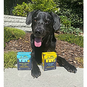 Jiminy's Cravin' Cricket Entree - Wet Dog Food, Insect Dog Food, Gluten-Free, Prebiotic, 100% Made in The USA, Sustainable, Recyclable Packaging, Organic Dog Food - 12.5 Oz (Pack of 6)