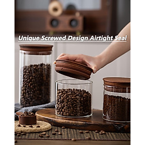 BOILMERIT 500ml Glass Coffee Canister with Wooden Lids and Scoop, Kitchen Coffee Container Set of 2 Hold Up to Total 12 oz of Coffee Bean, Airtight Food Storge Jars for Ground Coffee Bar Cereal Snack