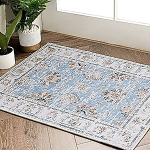 jinchan Vintage Area Rug 2x3 Persian Rug Elegant Kitchen Retro Floral Print Floor Cover Indoor Mat Blue Accent Rug Entryway Bathroom Doormat Living Room Bedroom Boho Farmhouse