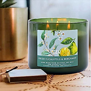 Large 3 Wick Scented Candle - Eucalyptus Bergamot Aromatherapy Stress Relief Candle with Pine, Rose & Cedar - 15.8 oz Spring Candles for Home - Eucalyptus Candles - Natural Soy Candles for Men & Women