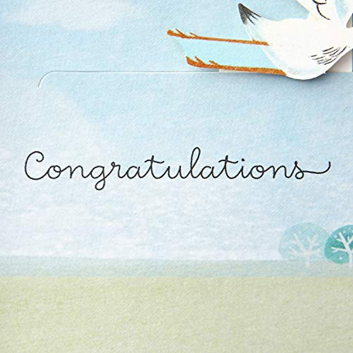 Hallmark Paper Wonder Paper Craft Baby Shower Card for Baby Boy (Stork) - 499RZW1027,4-x-5.5-inch