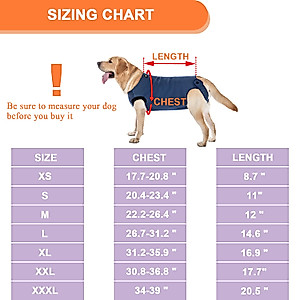 COODEO Dog Surgery Recovery Suit, Waterproof Recovery Suit for Dogs, Surgery Suit for Wounds Protect, Cone Alternative After Surgery, Dog Onesie for Surgery Female or Male (Blue, XS)